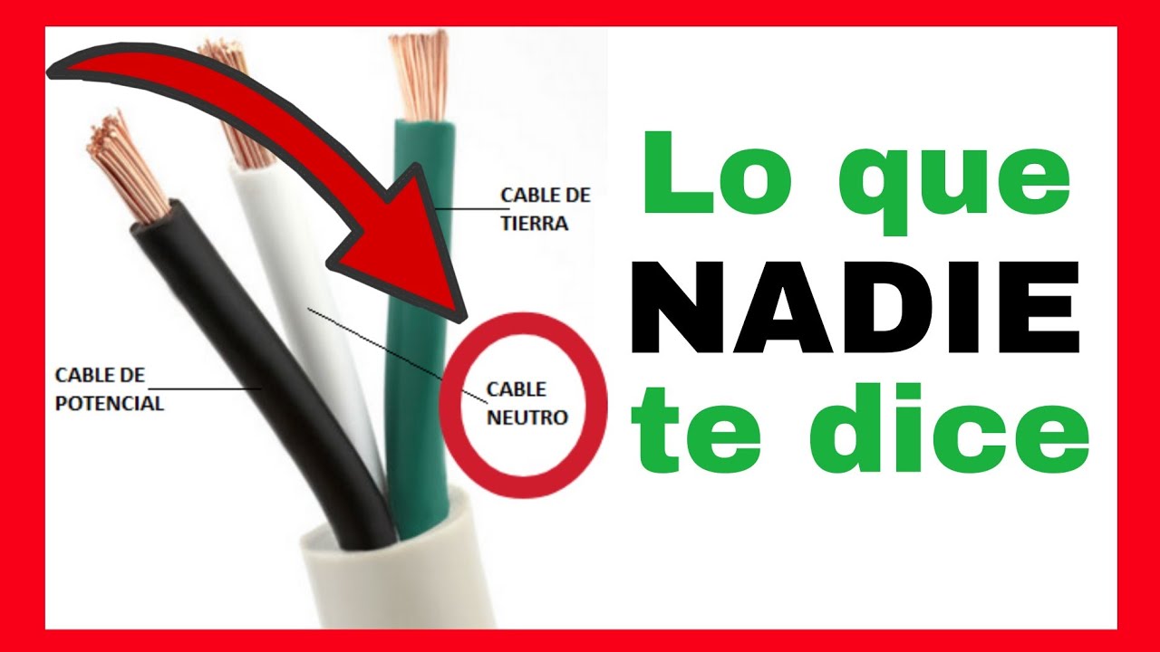 Qué significa ser una persona neutral y cuál es su importancia